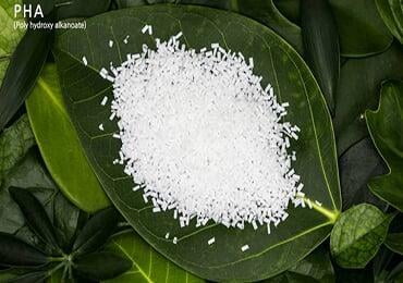 Understanding PHA - PLALEAVES