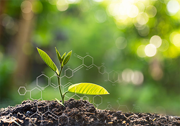 Bio-based content up to 97%, new Bio-TPU developed in Korea | PLALEAVES