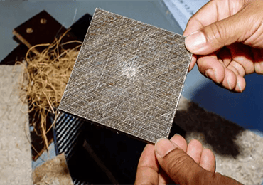Prospects for the application of degradable biomass composites | PLALEAVES