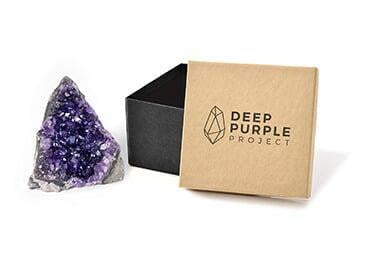 Deep Purple Project - Bioplastics from Wastewater | PLALEAVES