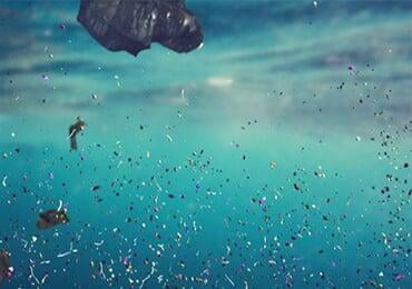 Study proves microplastics can be absorbed by cells and may be a ...