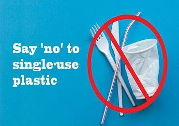 Canada's plastic ban, effective today, very strict! | PLALEAVES