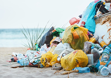 Va. announces super strict plastic ban, effective next week! | PLALEAVES