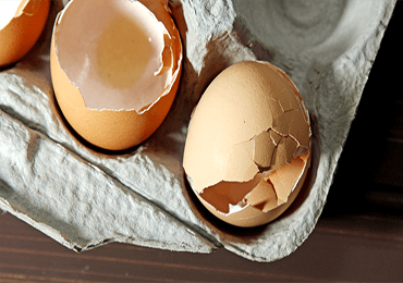 Edible packaging film made from eggshell waste | PLALEAVES